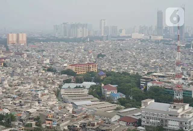 Shio Macan 1998: Apa yang Membuat Mereka Sulit Dikalahkan? - Lifestyle ...