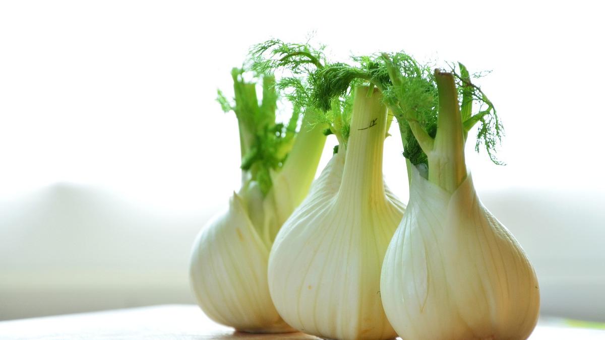 4 Manfaat Sayuran Adas yang Berkhasiat bagi Kesehatan Tubuh