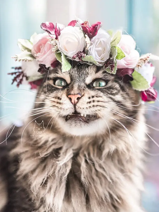 Gemasnya, 10 Potret Hewan dengan Mahkota Bunga - Citizen6 Liputan6.com