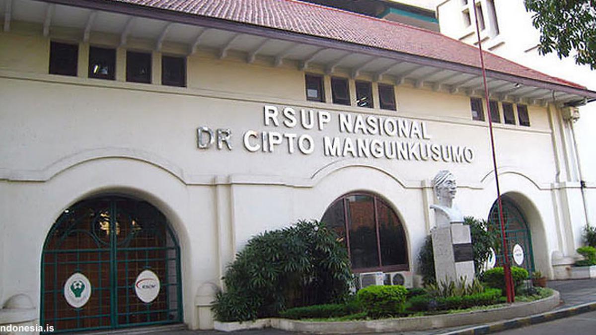 RSCM Berhasil Lakukan 100 Transplantasi Ginjal - Health Liputan6.com