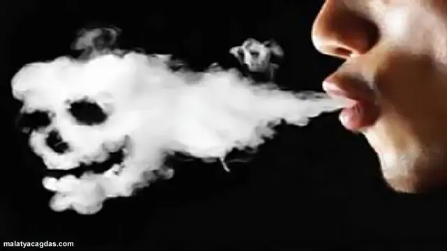 Tipe Umum Perokok Berat, Bandelnya Minta Ampun! - Health Liputan6.com