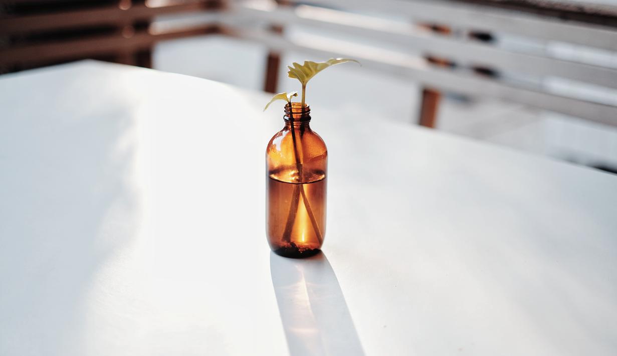 7 Vas Unik yang Bisa Digunakan untuk Tempat Bunga Favoritmu di Rumah ...