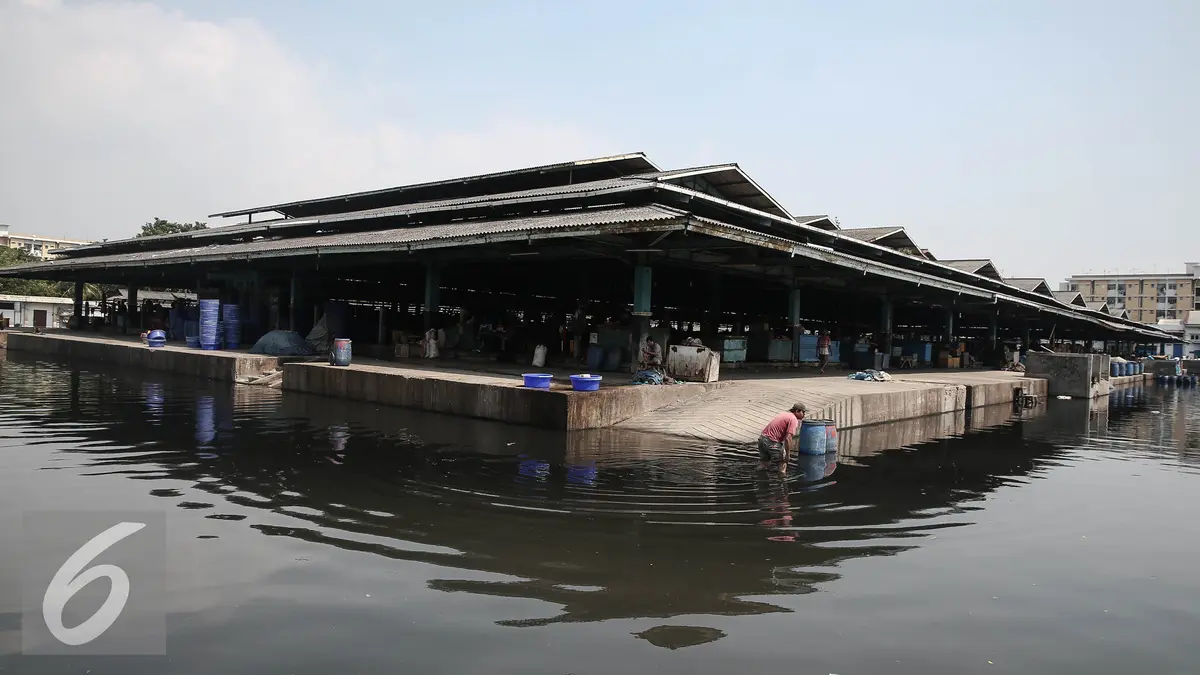 Berita pasar ikan Pelabuhan Muara Baru Hari Ini - Kabar Terbaru Terkini ...