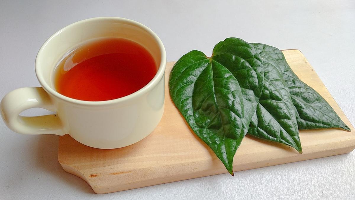 7 Resep Jamu Daun Sirih Khusus Kewanitaan, Ampuh Atasi Keputihan dan ...