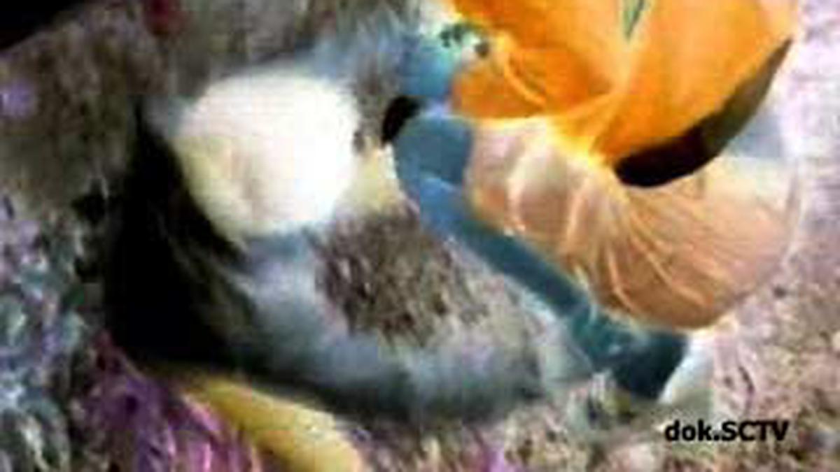 Dua Geng Motor Tawuran di Monas - News Liputan6.com