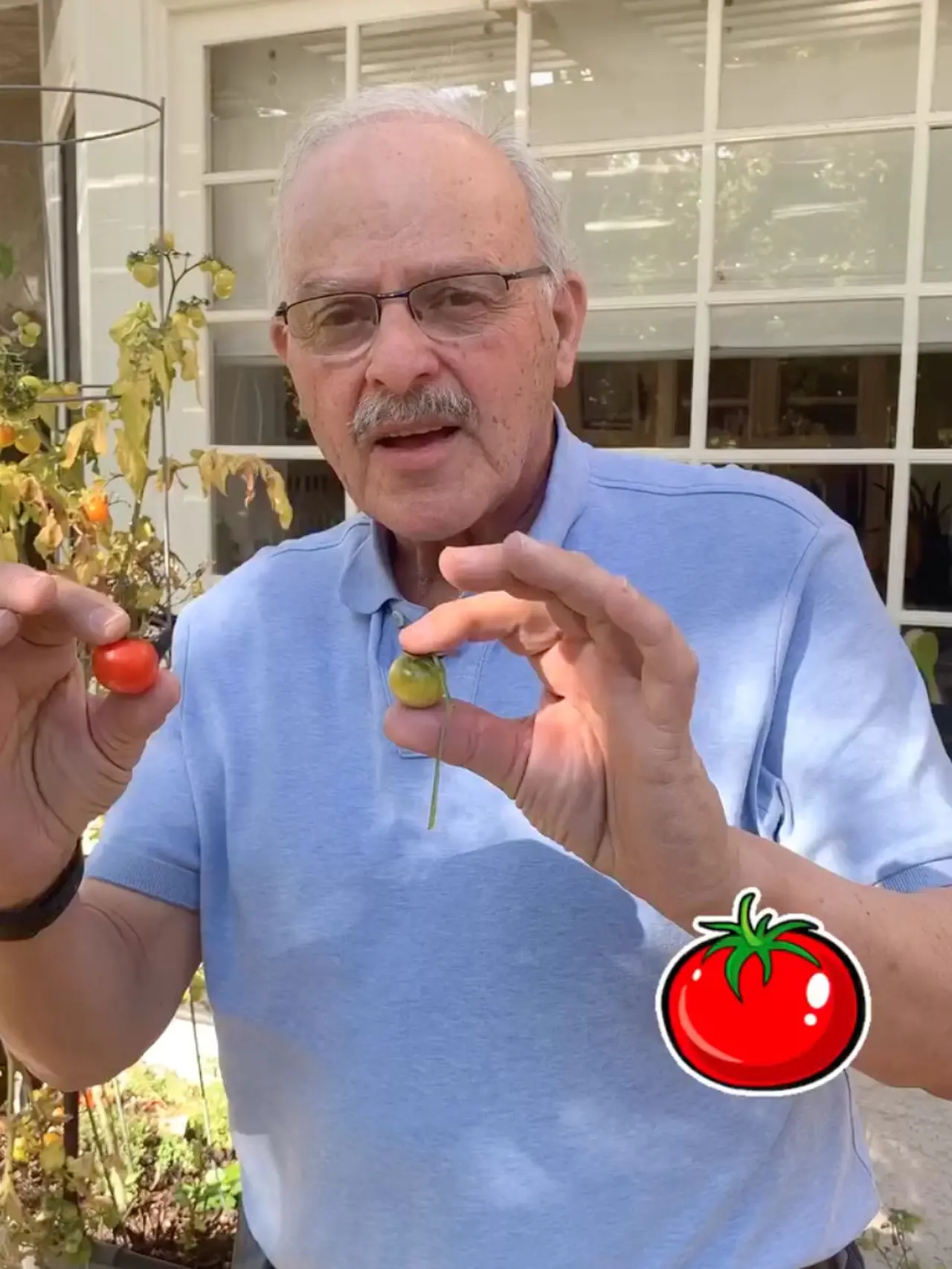 6 Tips Bahagia dari Influencer Dokter David Heber: Dari Makan Sehat ...