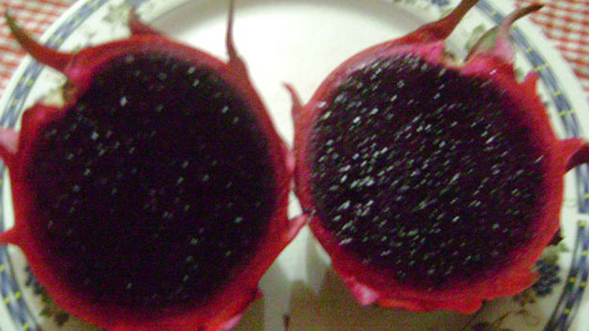 Naga Hitam, Buah Unik Asal Meksiko yang Kaya Manfaat - Citizen6 ...