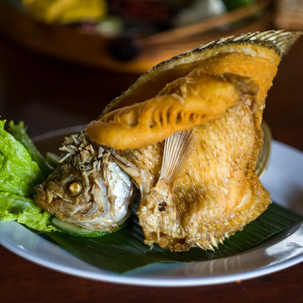 Cara Menghilangkan Rasa Pahit Pada Masakan Ikan - AryanropNewman