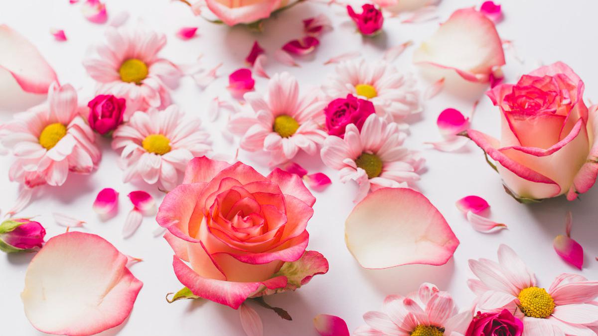 Arti Mitos Bunga Mawar yang Perlu Dipahami