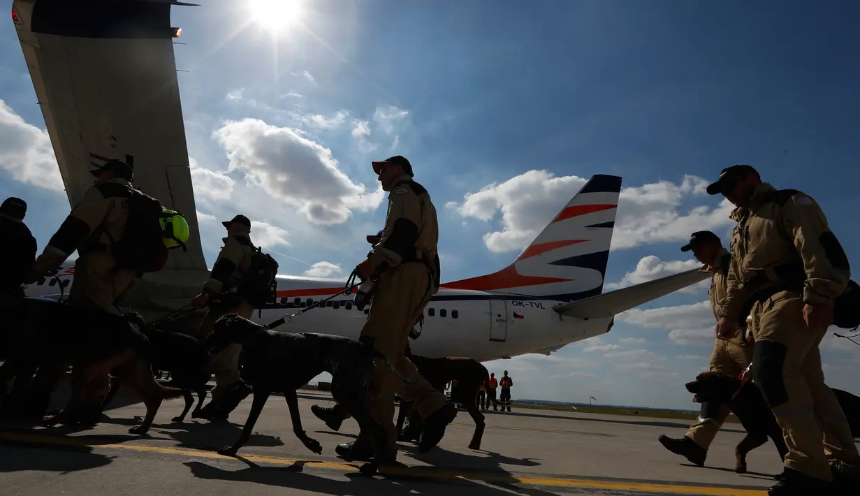 FOTO: Bantuan Tim Anjing Pelacak Republik Ceko untuk Beirut - Foto ...