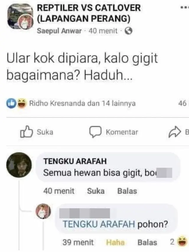 7 Komentar Enggak Nyambung Netizen di Facebook Ini Bikin Mikir Keras - Hot Liputan6.com