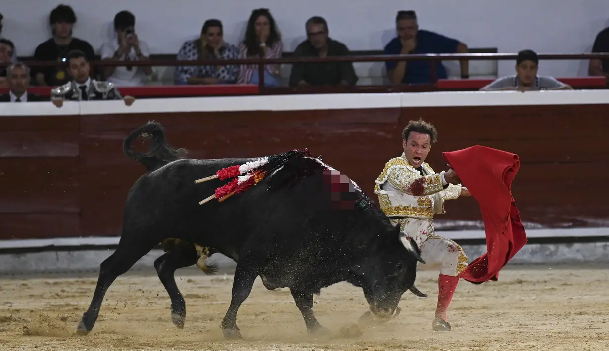 Aksi Para Matador Bertarung Melawan Banteng di Festival Cali - Foto ...