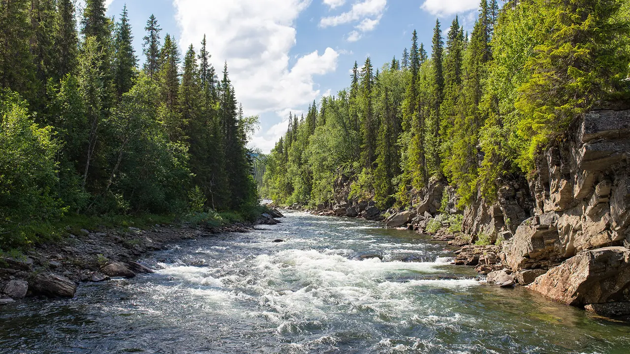 Jenis-Jenis Sungai Beserta Penjelasannya yang Perlu Diketahui - Ragam ...