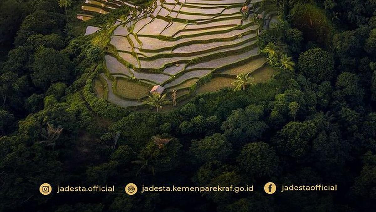 Menikmati Keindahan Sawah dan Hutan Adat Desa Wisata Bayan Lombok ...