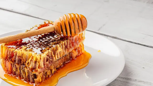 12 Makanan Ekstrem di Indonesia, Unik dengan Cita Rasa Khas - Hot ...