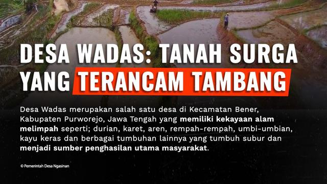 Ada Apa dengan Wadas? Ini Kisah Menariknya dari Greenpeace Indonesia ...