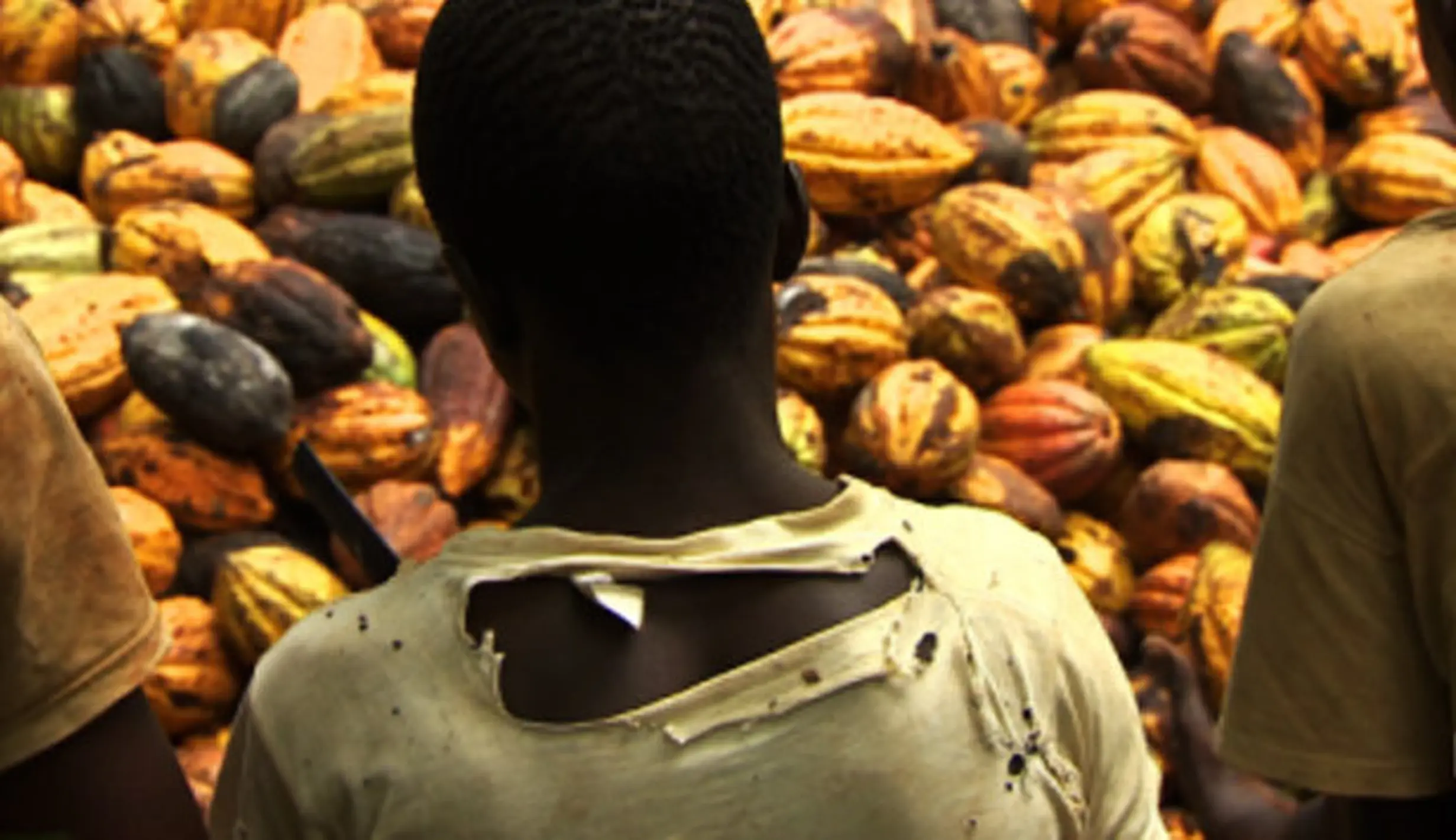 Kisah Pilu Perbudakan di Balik Kelezatan Mewah Cokelat - Photo Fimela.com