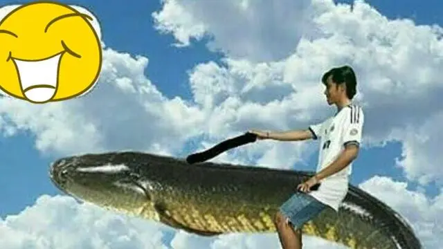 6 Editan Foto Ikan Terbang di Langit Ini Absurd, Gagal Keren - Hot Liputan6.com