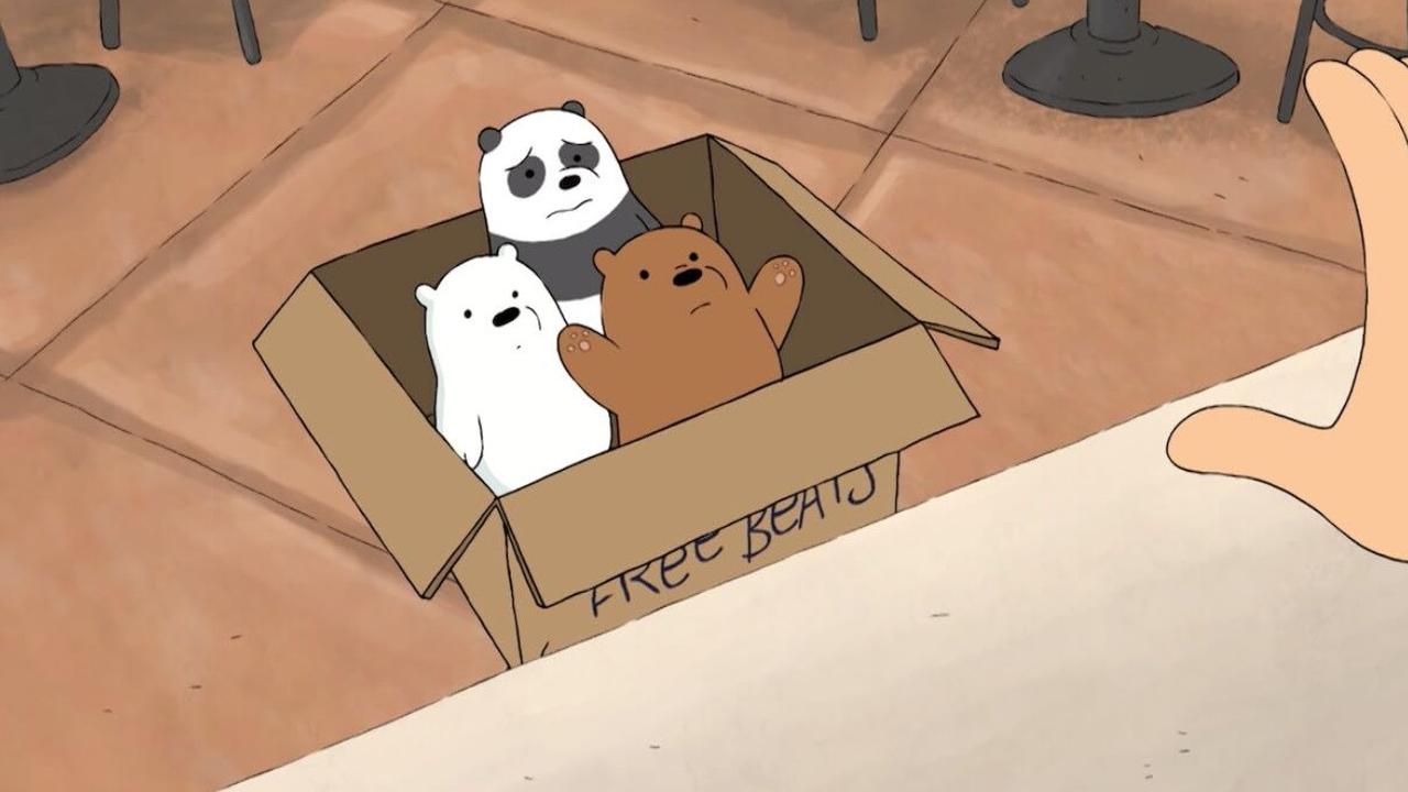 We Bare Bears, Kisah Persaudaraan 3 Beruang Beda Spesies Berkepribadian ...