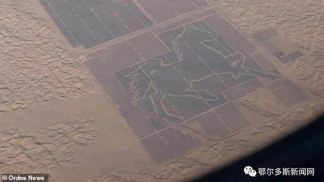 Panel Surya Terbesar di Dunia Ini Habiskan Rp 30 Triliun, Ini 4 Fakta ...