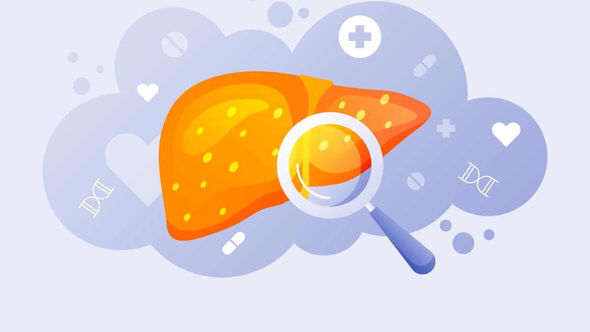 9 Macam Fungsi Hati yang Perlu Diketahui - Ragam Bola.com