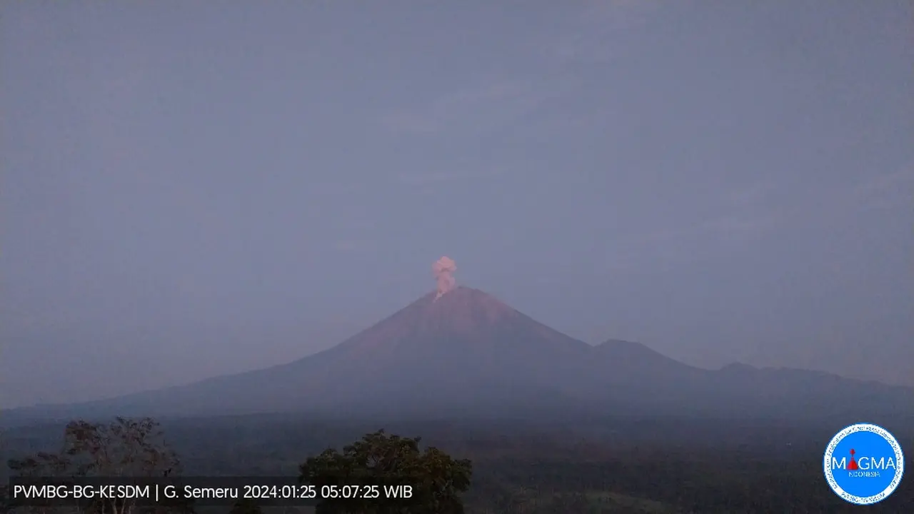 Gunung Semeru Erupsi Lagi Kamis Pagi 25 Januari 2024, Semburkan Abu Vulkanik Setinggi 900 Meter ...