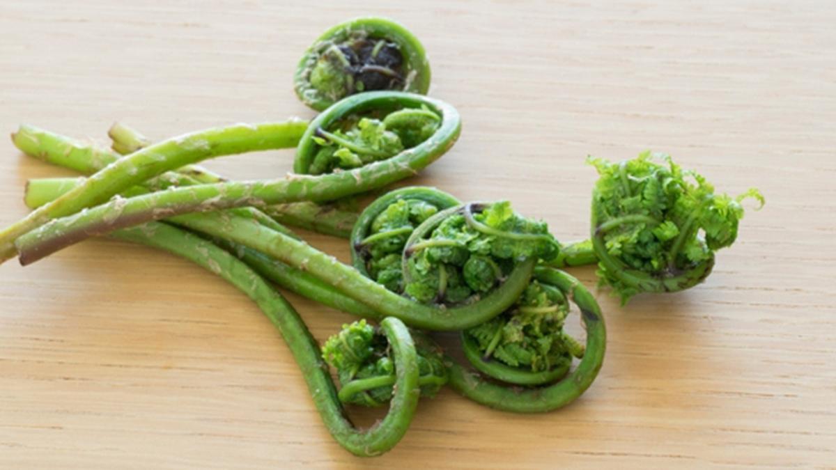 Cara Berbelanja dan Memasak Sayur Pakis - Lifestyle Fimela.com