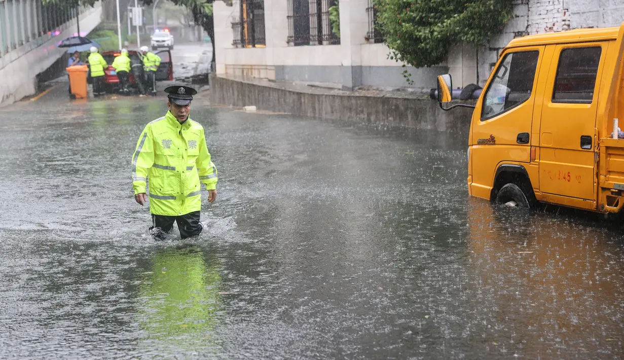 Topan Doksuri Mendarat di Xiamen China, Pohon-Pohon Tumbang - Foto ...
