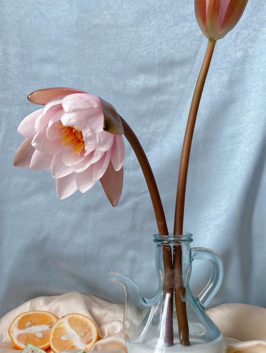 7 Vas Unik yang Bisa Digunakan untuk Tempat Bunga Favoritmu di Rumah ...