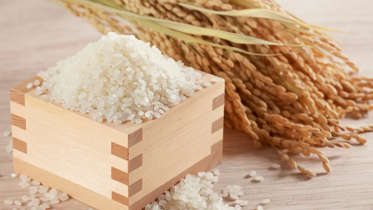 Penyebab Beras Berkutu dan Cara Menyimpannya - Food Fimela.com