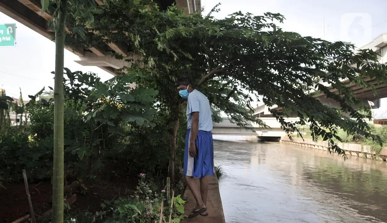 FOTO: Bercocok Tanam di Kolong Tol Becakayu - Foto Liputan6.com