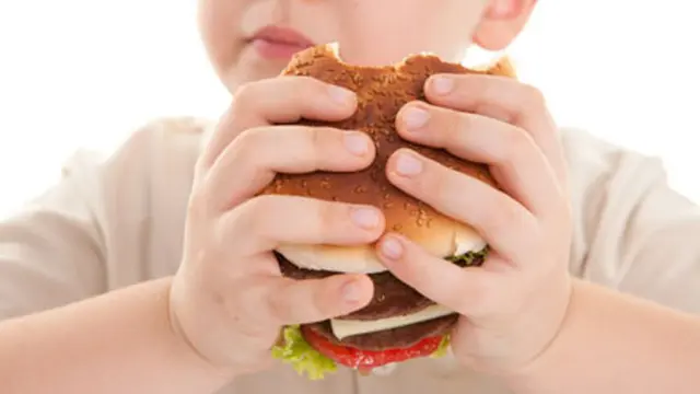 Fakta Menarik Seputar Obesitas pada Anak - Health Liputan6.com