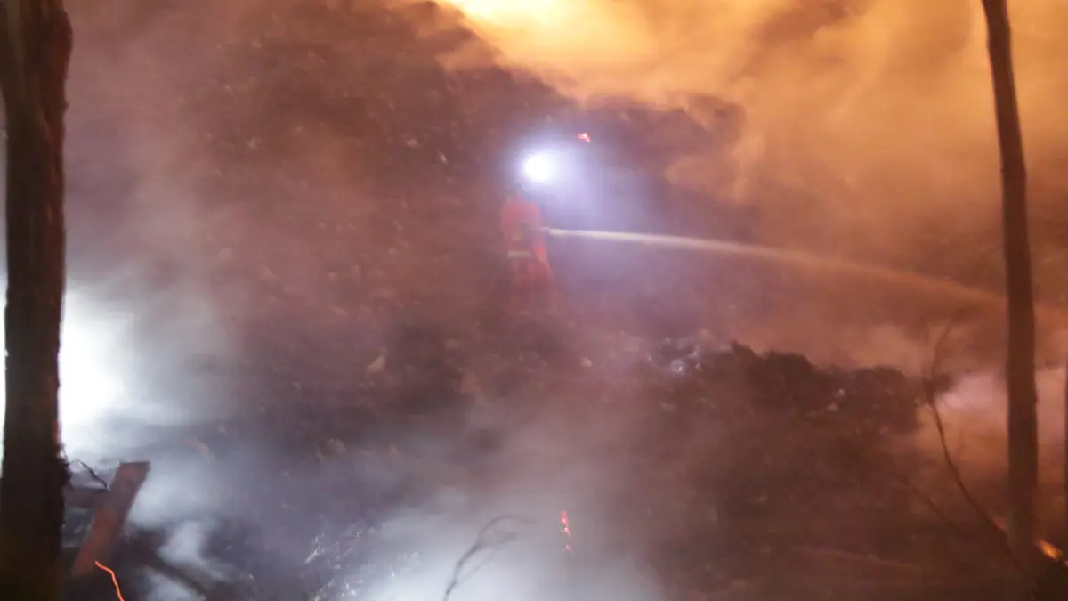 Berita Kebakaran Rawa Kucing Hari Ini - Kabar Terbaru Terkini | Liputan6.com