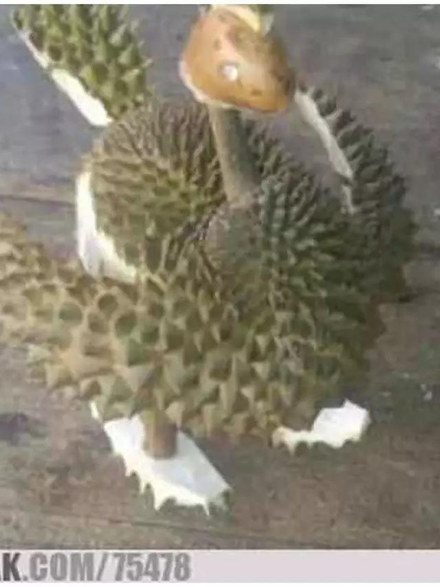 6 Potret Pemanfaatan Kulit Durian Ini Kelewat Unik, Ada-Ada Saja