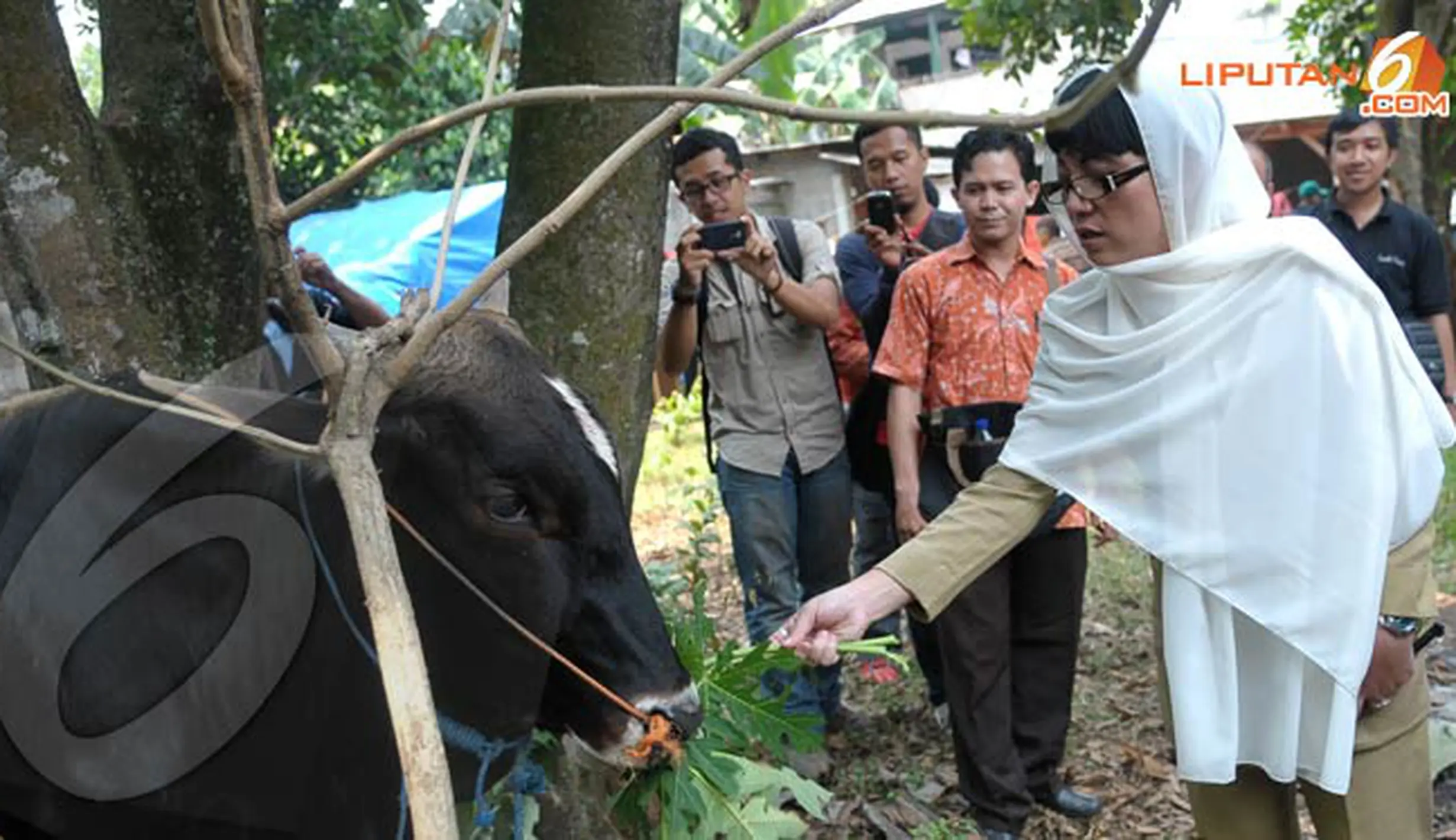 Wah, Lurah Susan Jasmine Ikut Potong Sapi - Foto Liputan6.com