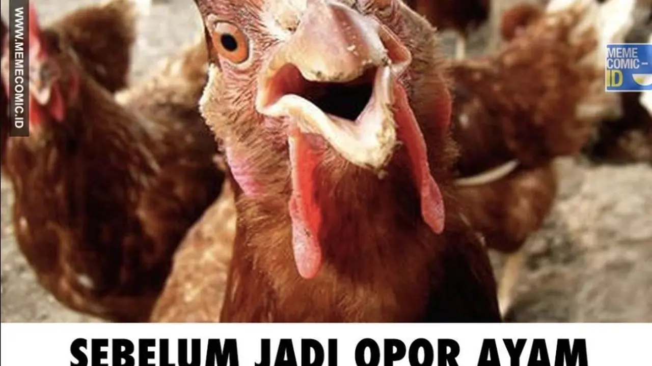10 Meme Kocak Lebaran Idul Fitri 2023 Sebentar Lagi Ini Bikin Geleng ...