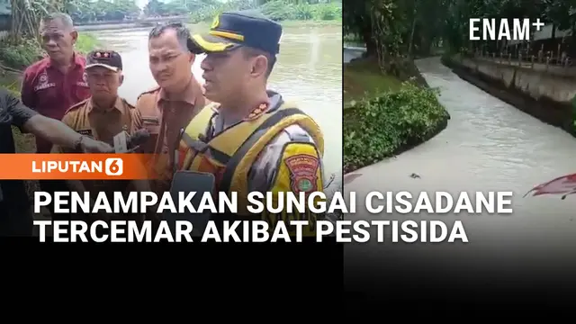 Berita kebakaran gudang Hari Ini - Kabar Terbaru Terkini | Liputan6.com