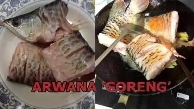 6 Menu Buka Puasa Pakai Ikan Hias Ini Nyeleneh, Absurd Maksimal - Hot Liputan6.com