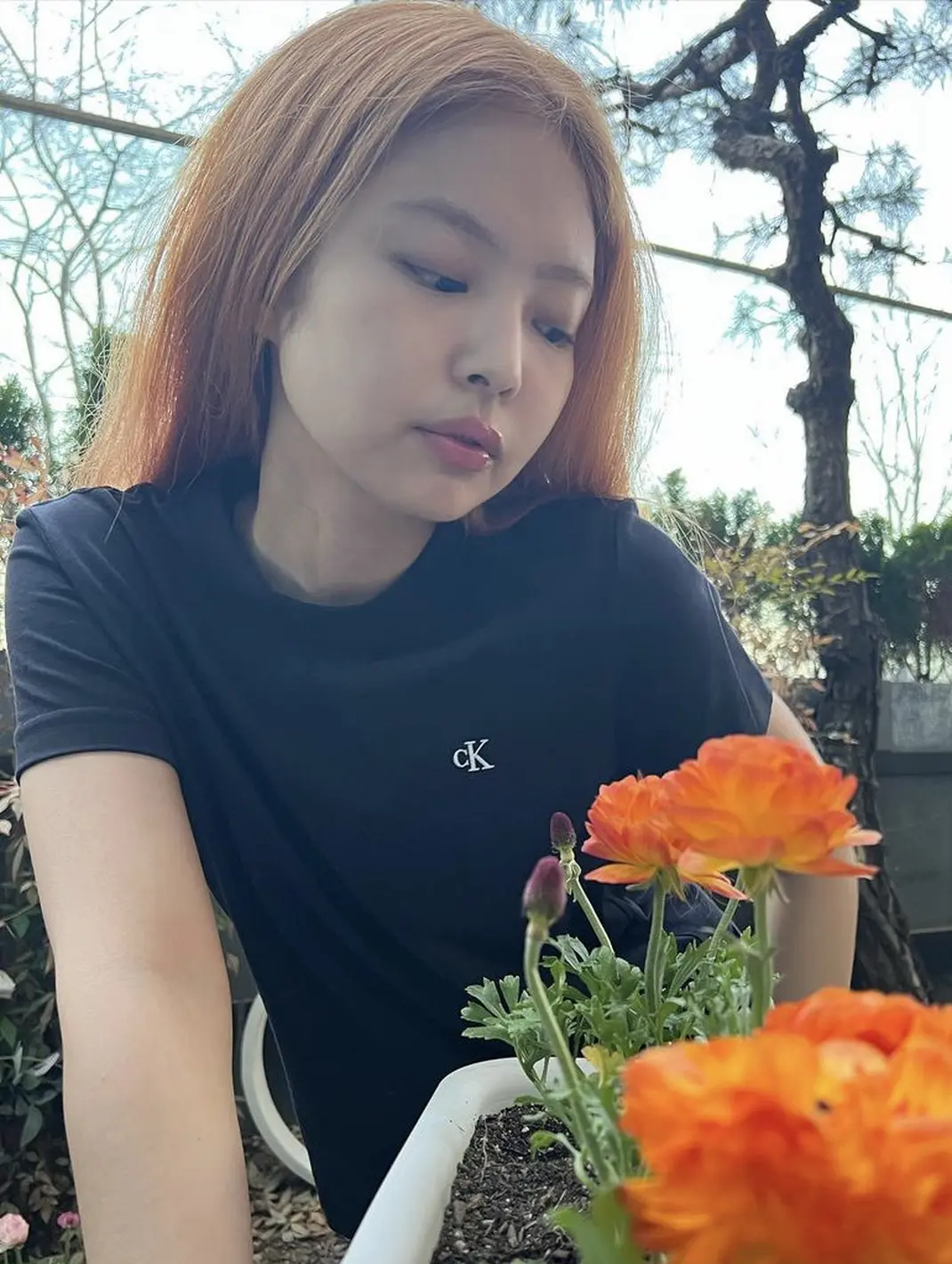 6 Potret Terbaru Jennie BLACKPINK Segar dengan Warna Rambut Cerahnya