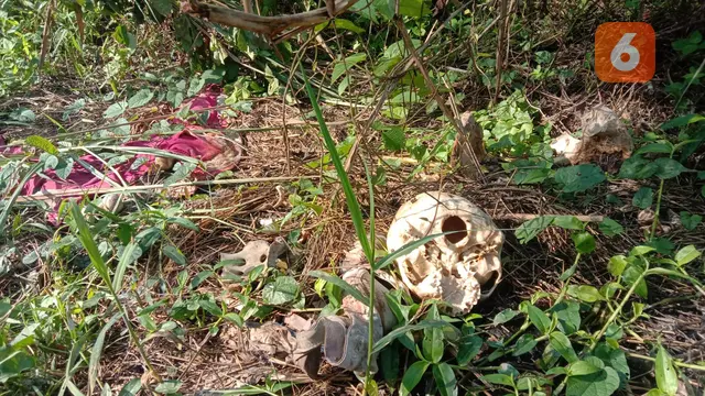 Geger, Warga Temukan Tulang Kerangka Manusia di Lahan Kosong Sukabumi - Regional Liputan6.com