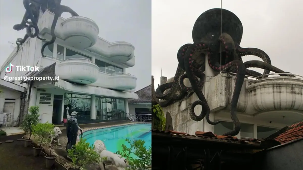 Berita Rumah Gurita Bandung Hari Ini Kabar Terbaru Terkini