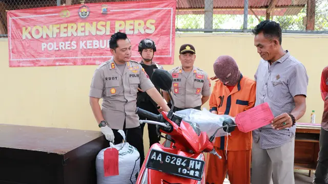 Harga Tinggi Jenitri Kebumen Bikin Saudara Gelap Mata - Regional ...