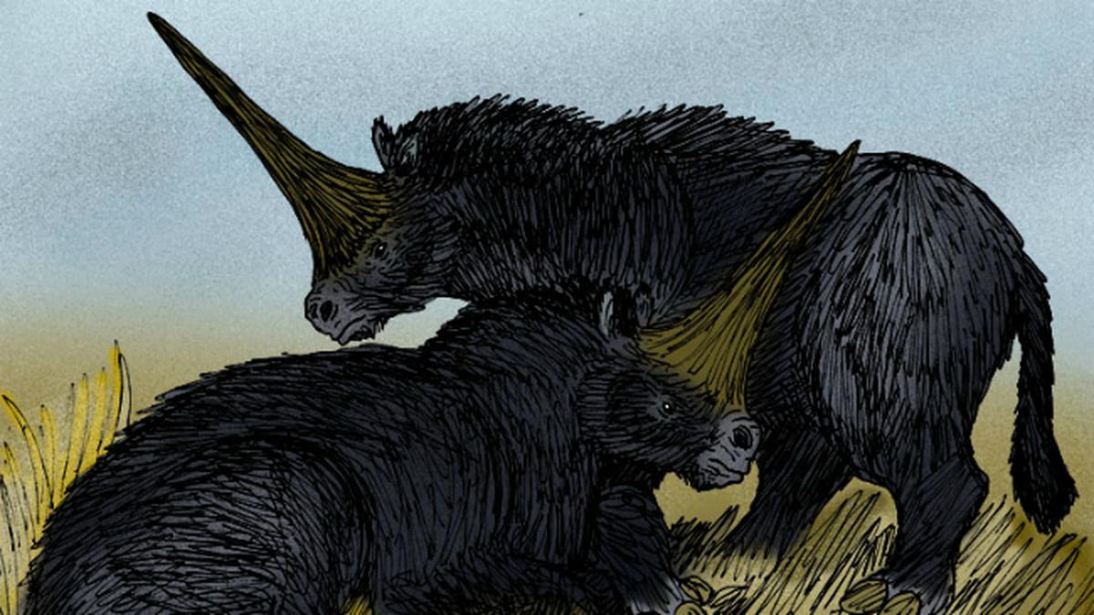 Hewan Purba Ini Inspirasi Kisah 'Makhluk Mistis' Unicorn?