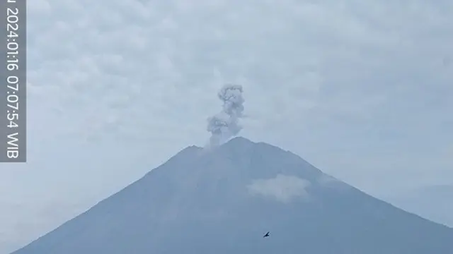 Gunung Semeru Erupsi Selasa Pagi 16 Januari 2024, Semburkan Abu Vulkanik 1.000 Meter - Regional ...