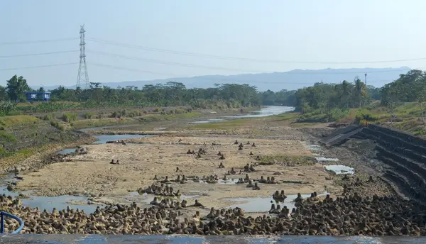 7 Selebgram Viral Sepanjang 2024, dari Kasus KDRT hingga Kisahnya Difilmkan - Hot Liputan6.com