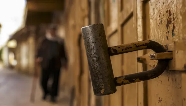 Mengenal Wisdom, Burung Liar Tertua Berusia 70 Tahun - Global Liputan6.com