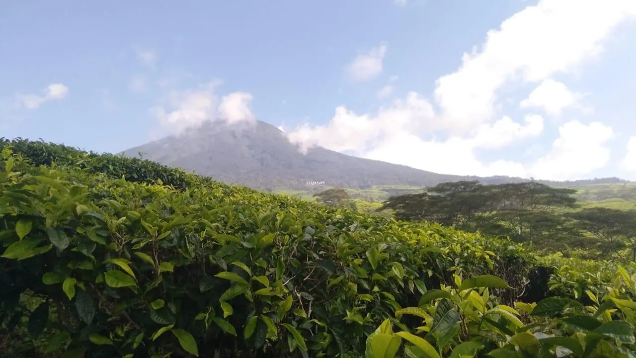 Sang Istri Ungkap Kejanggalan Penyebab Tewasnya Pendaki di Gunung Dempo
