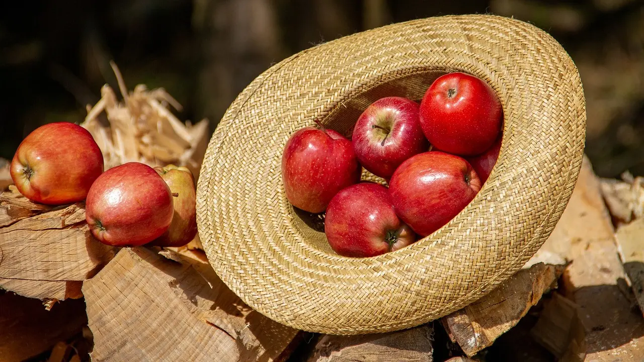10 Varian Apel Terbaik di Dunia Salah Satunya dari Asia, Ada Indonesia ...