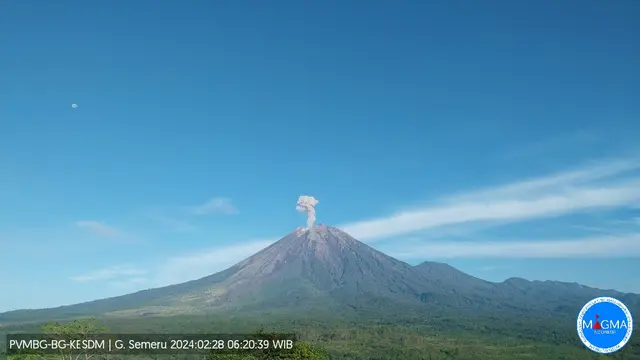 Gunung Semeru Semburkan Abu Vulkanik Setinggi 900 Meter Rabu Pagi 28 Februari 2024 - Regional ...
