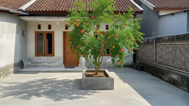 9 Pohon Buah yang Cocok untuk Halaman Depan Menghadap Timur, Mudah Dirawat